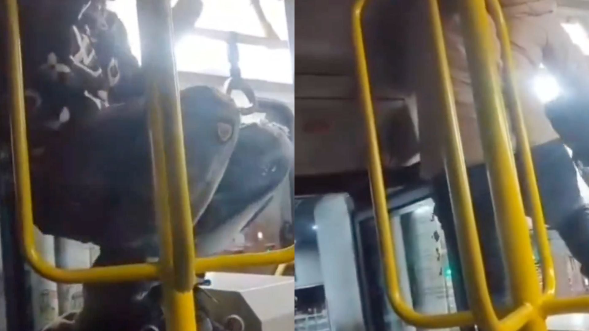 [Video] Indignación en el SITP: usuarios se estarían “encaramanando” en ...