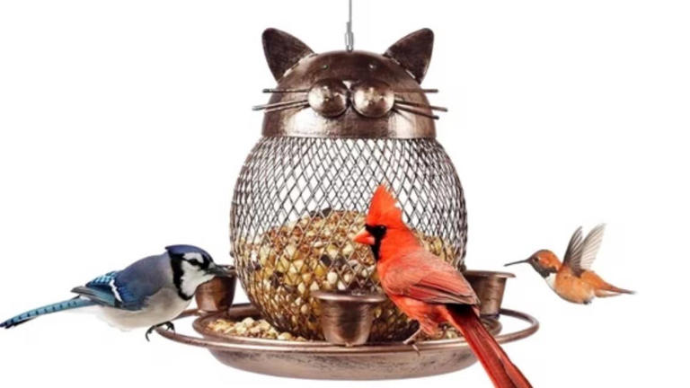 Walmart's 'super cute' cat-shaped wild bird feeder is a work of art