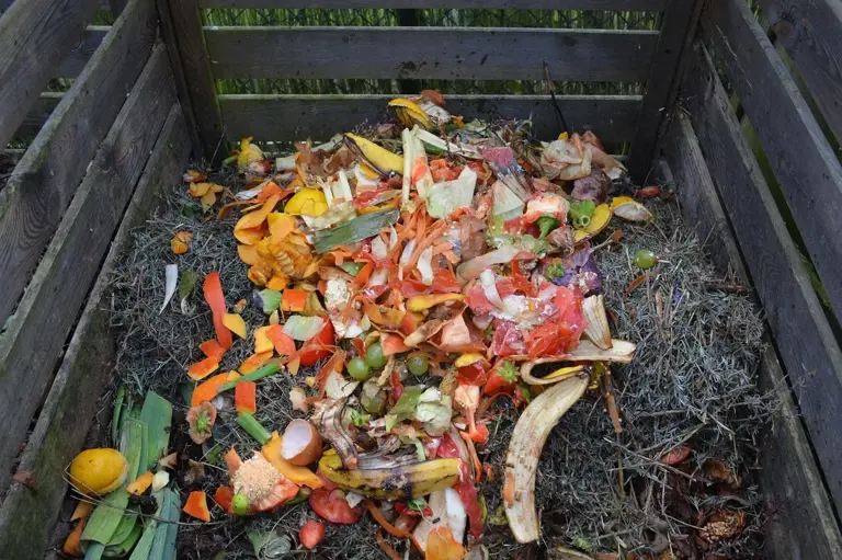 I went zero-waste for 3 years - here's why I quietly stopped