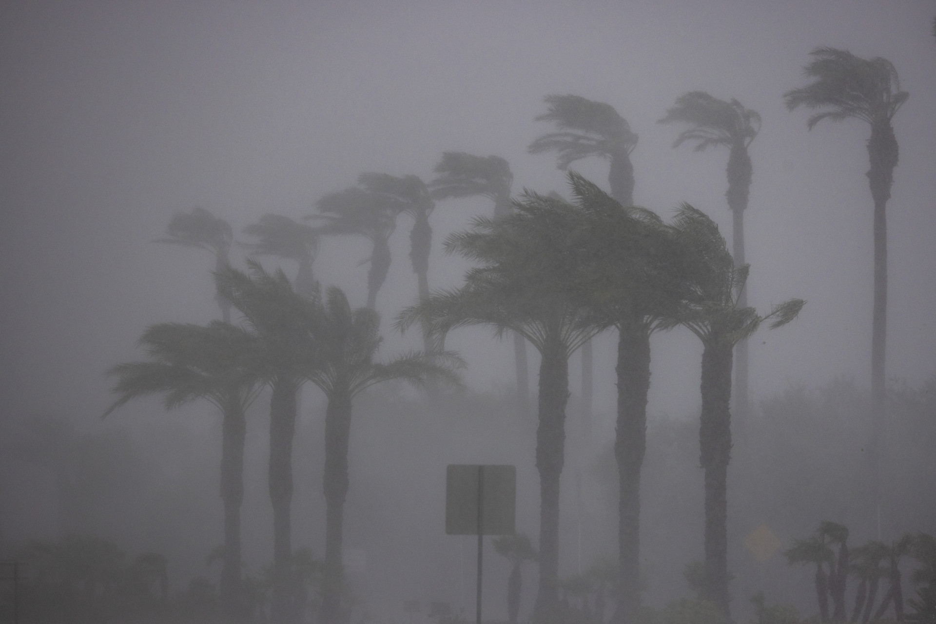 Super El Niño: experts warn this heat wave could be just the beginning