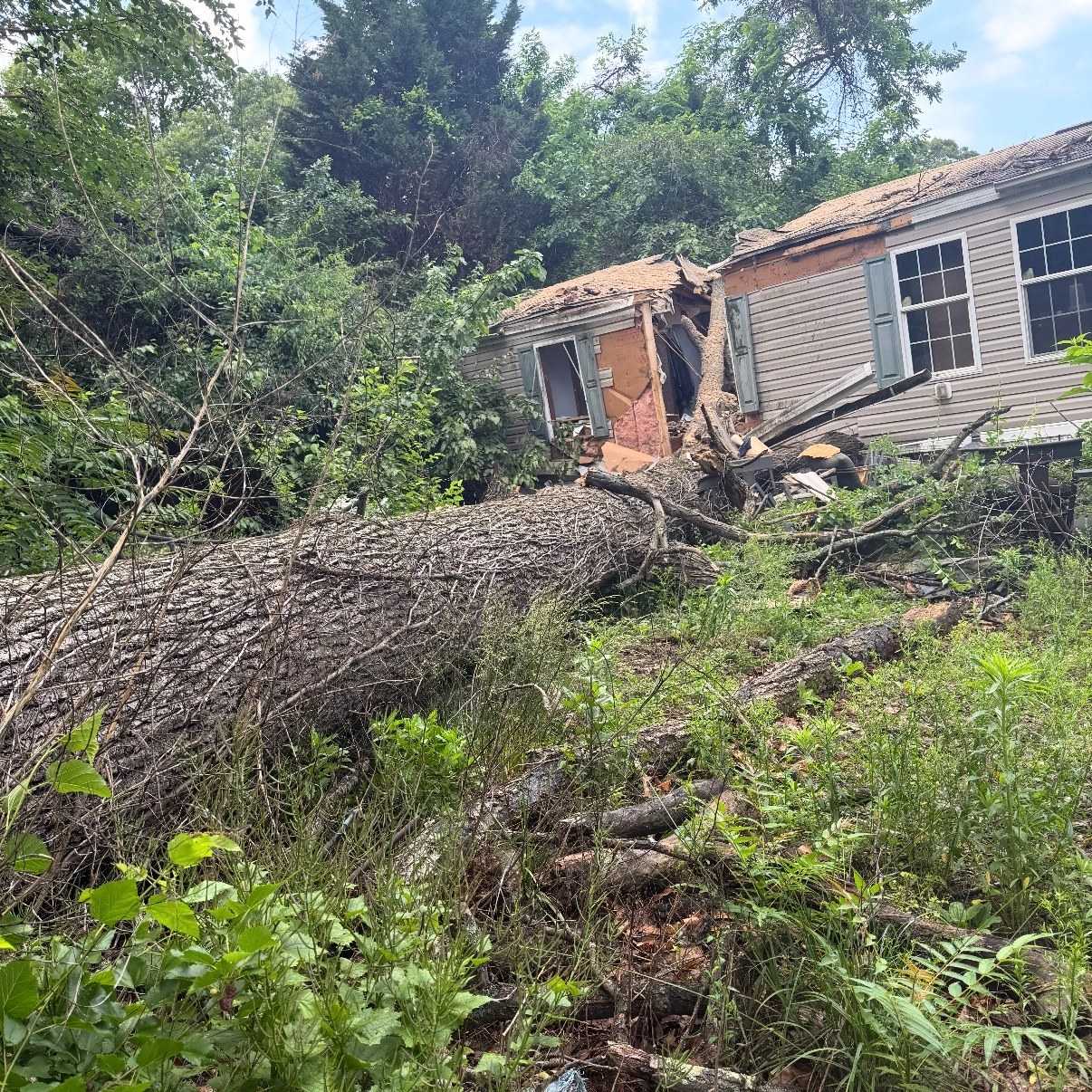 Tree slices through mobile home in Pasadena