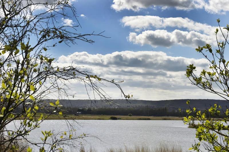 Warning signs to be placed after blue-green algae found in Eastbourne lake