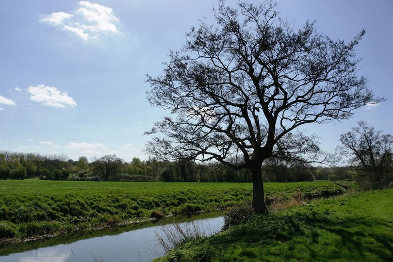 Nature reserve 'one of Colchester's most beautiful spots' could be sold