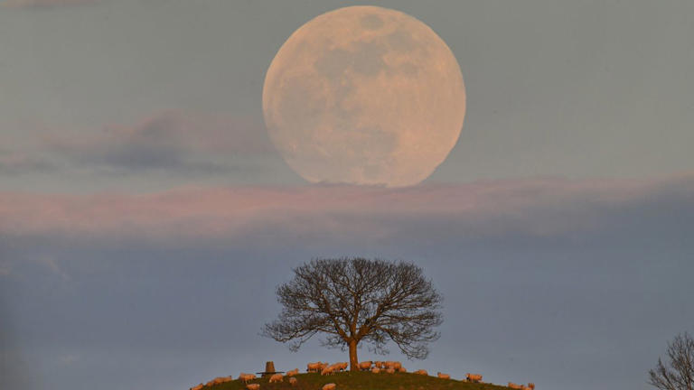 How to catch the perfect full moonrise — just in time for the Blue Moon ...