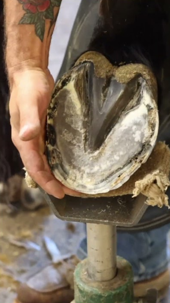 Most satisfying hoof care moment ever