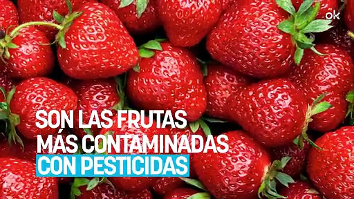 Un informe de las autoridades europeas confirma que las uvas, las ...