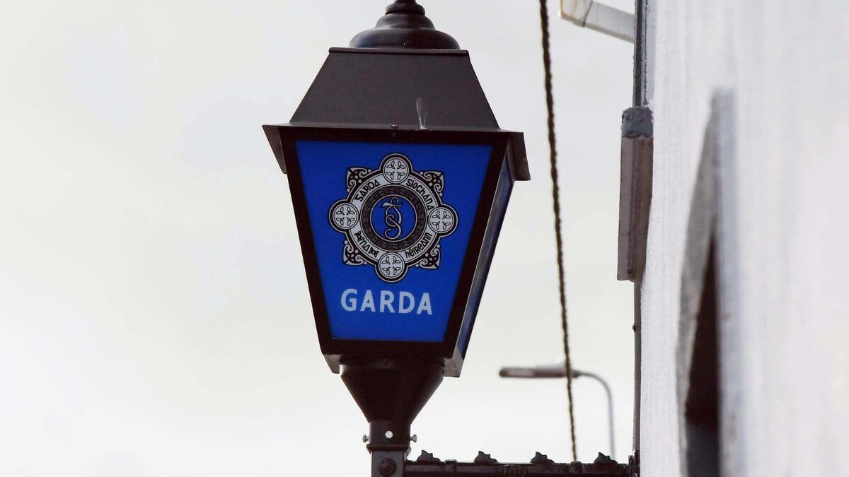 Man arrested after woman’s body discovered in Co Galway