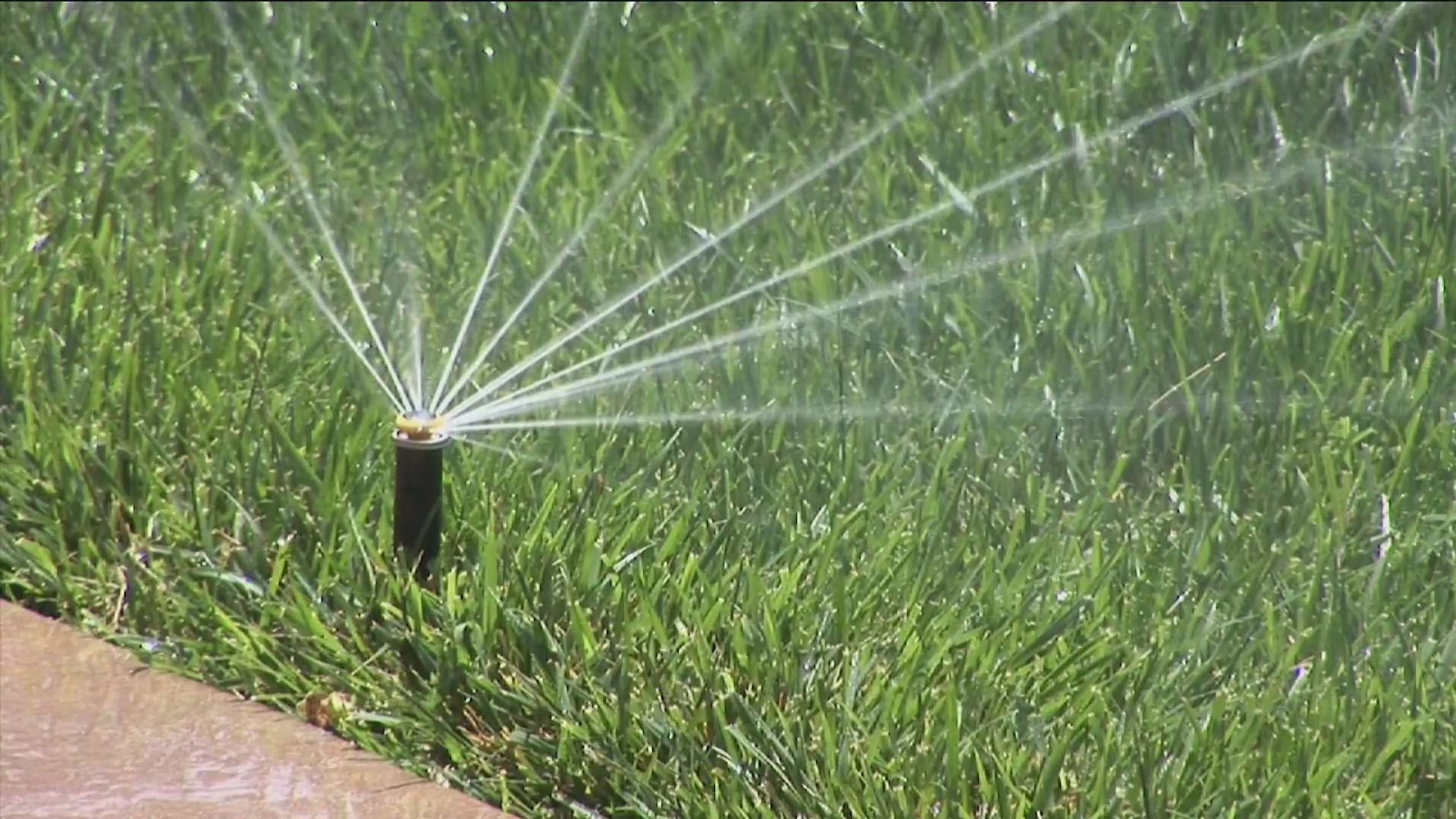 CIWW asks customers to cut outdoor water usage in half