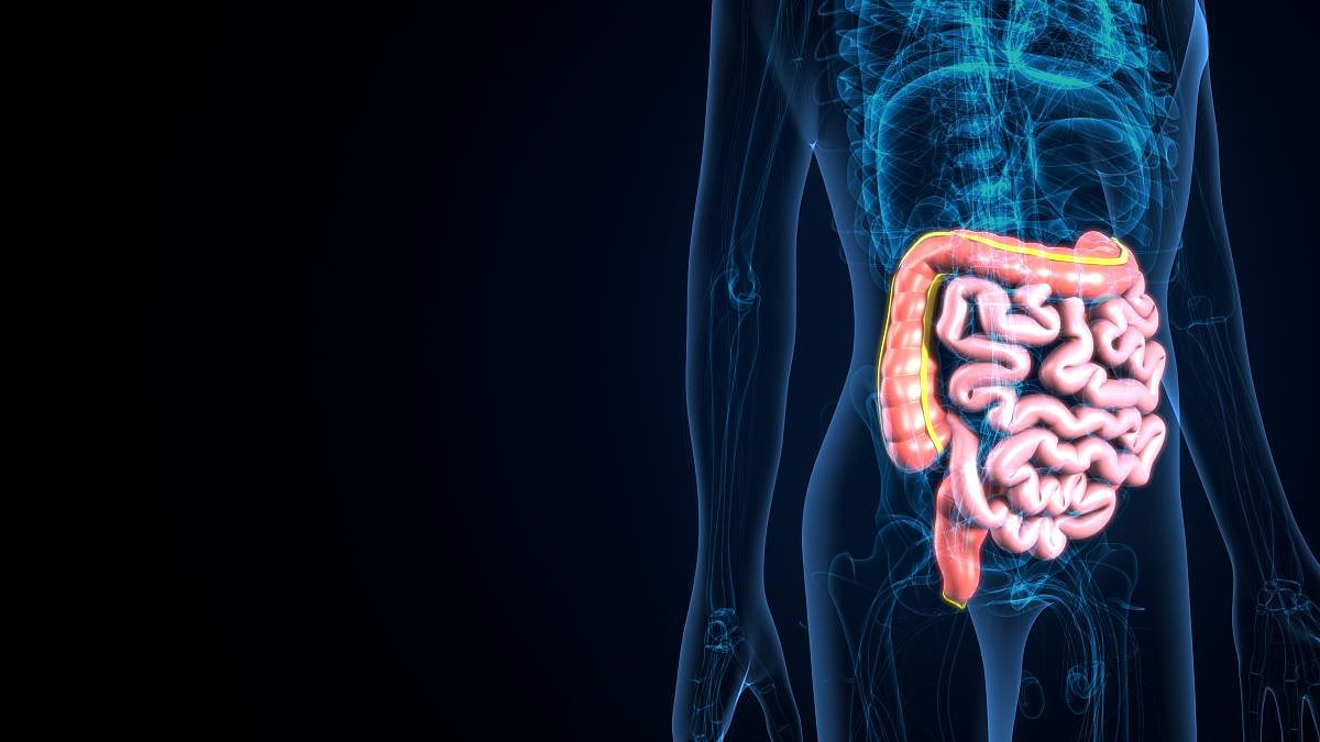 Recommendations developed for assessing postoperative Crohn disease ...