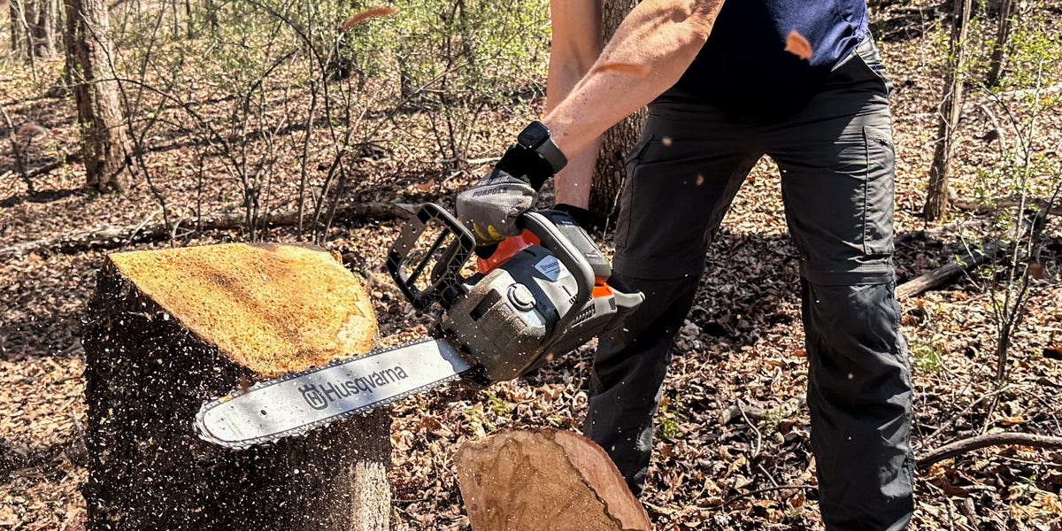We picked the best electric chainsaws for trimming hedges, chopping ...