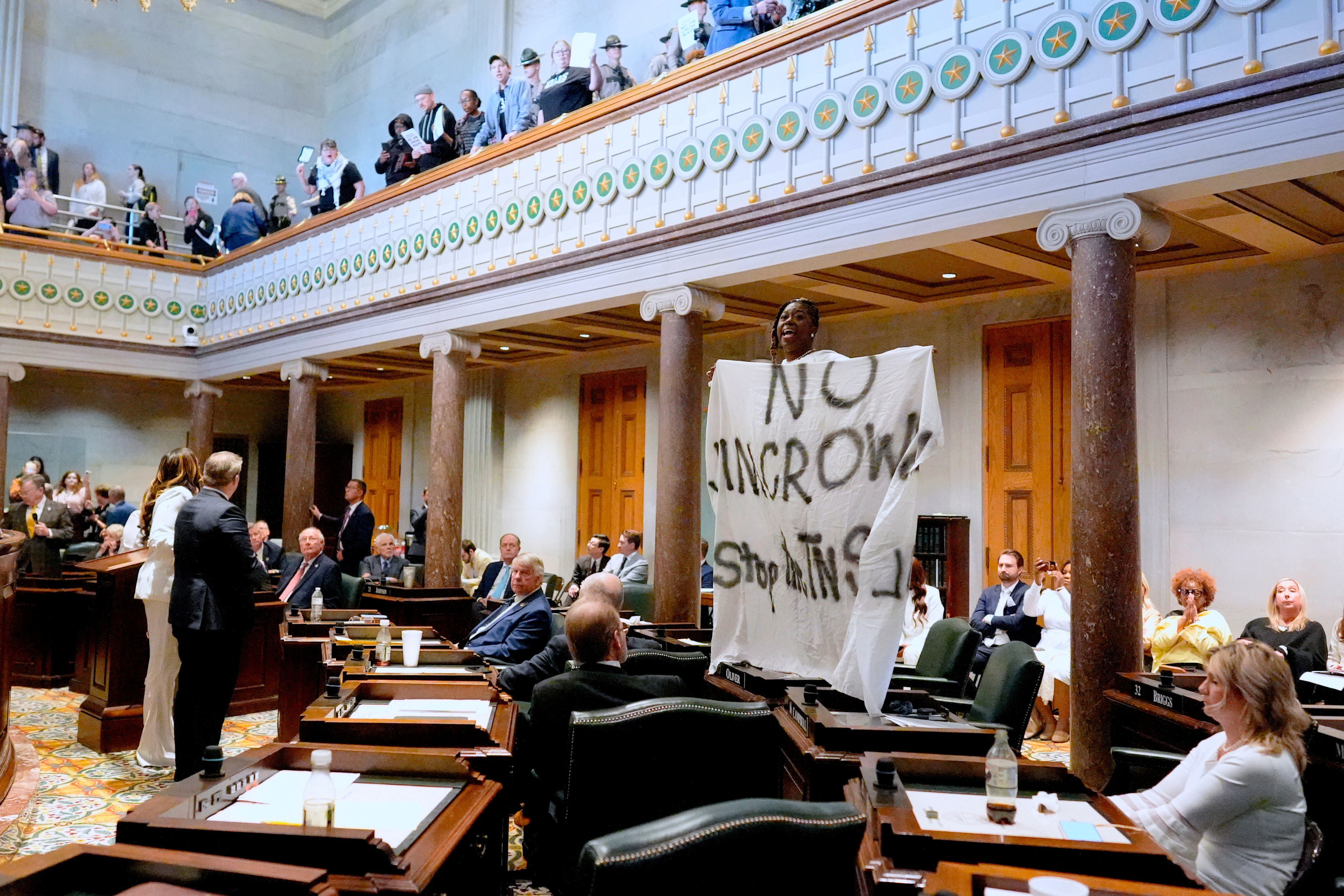 ‘I will never apologize.’ Nashville-based senator resolute after being ...