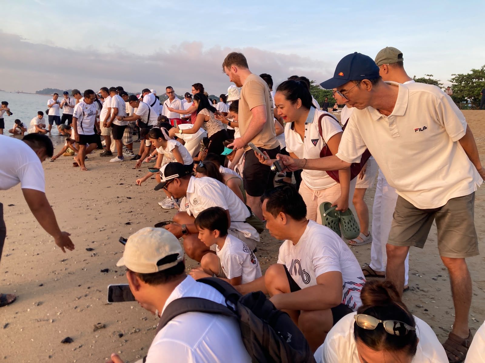 Dari World Turtle Day 2026 di The Meru Sanur, sampah plastik jadi ...