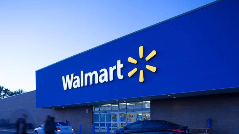 Walmart's 'super cute' cat-shaped wild bird feeder is a work of art