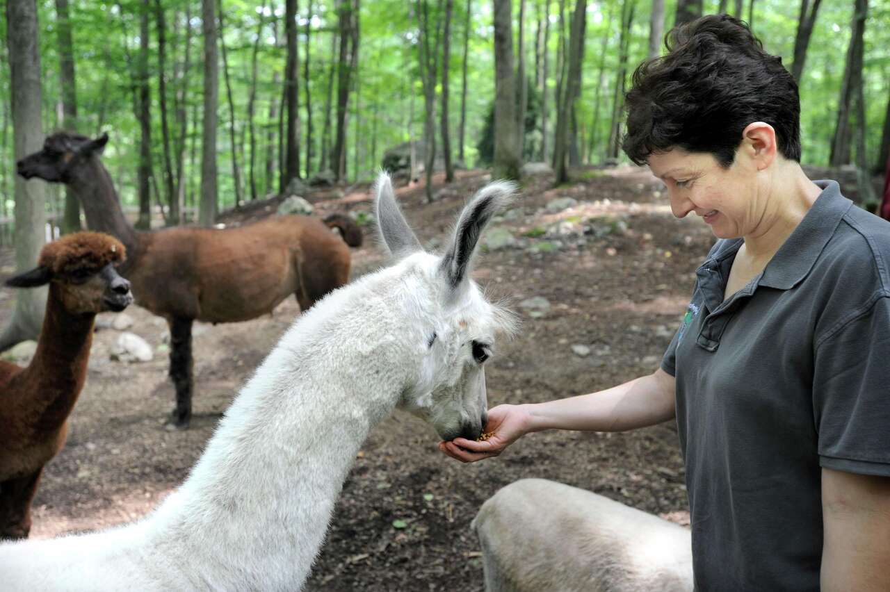 Apartment plan for former Ridgefield animal sanctuary withdrawn after ...