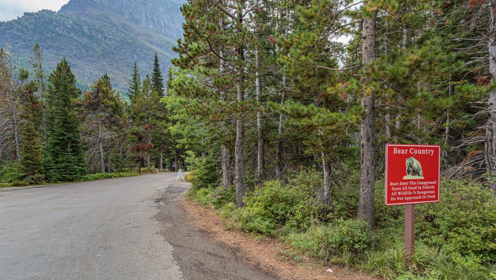Glacier’s smallest campground offers seclusion amid 2026 fee changes