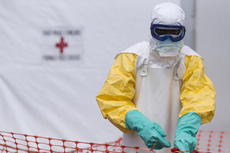 Seltene Ebola-Variante: Gesundheitsbehörde gibt Zeitplan für Impfstoff ...