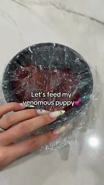 Feeding my venomous lizard his favorite egg breakfast