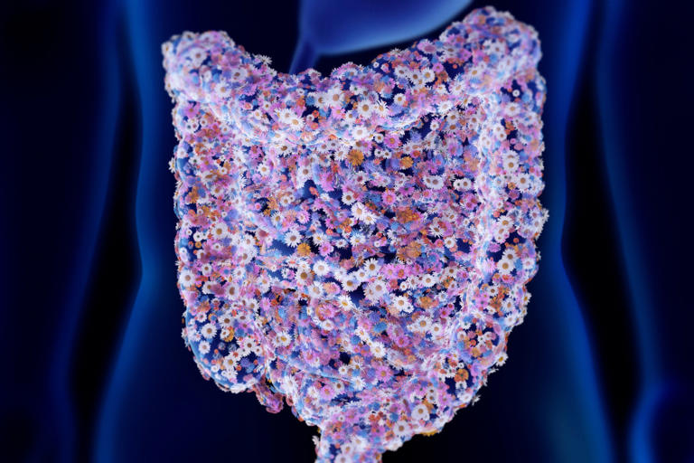 Doctors reveal how often people fart – and why it changes as you get older
