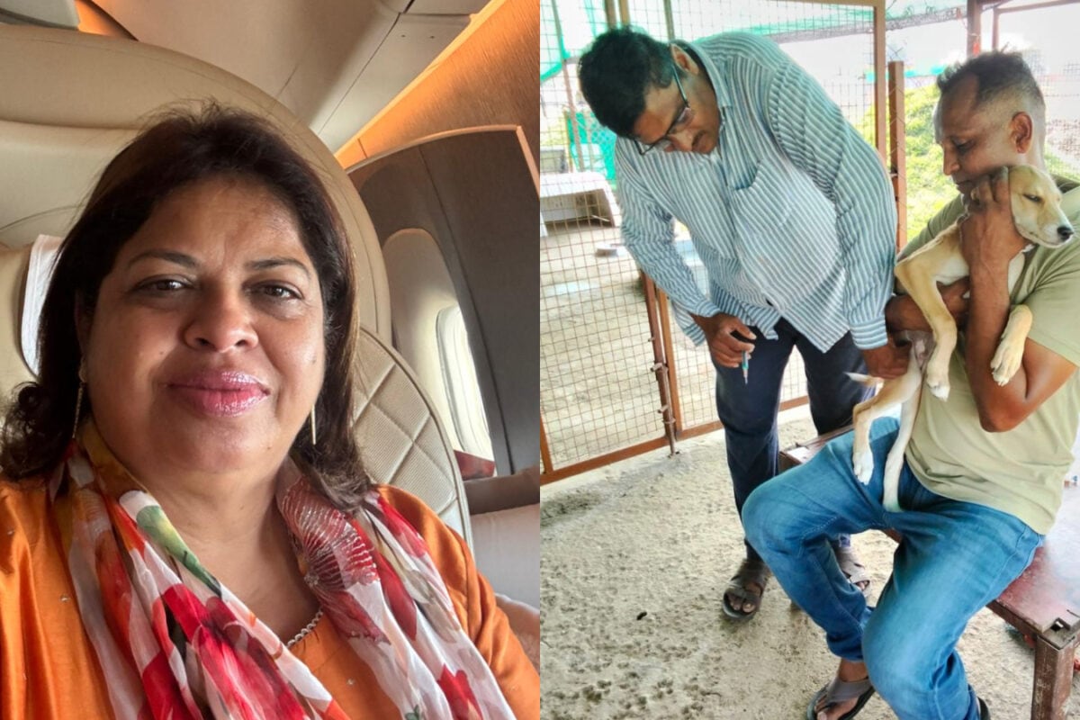 Producer Nitu Joshi's trust completes animal vaccination drive, extends ...