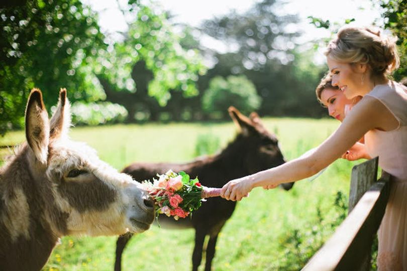 Couples loving snaps with hairy celebs at much-loved East Cork wedding ...