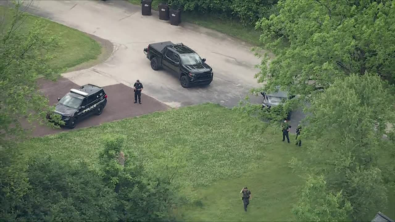 Black bear spotted in Whitpain Township captured: 'Be aware of your ...