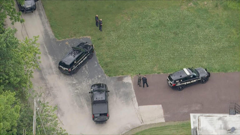 Police advise about black bear sighting in Whitpain Township ...
