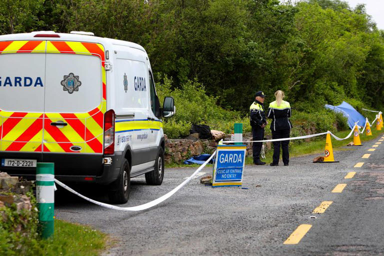 Mum found dead with throat cut in Galway had previously raised concerns ...