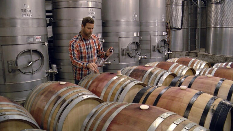 County wine industry wages remain steady as industry faces rising costs