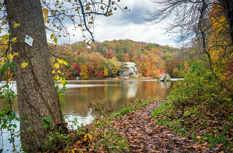 17 US forest getaways with short trails, wildlife, and cool summer shade