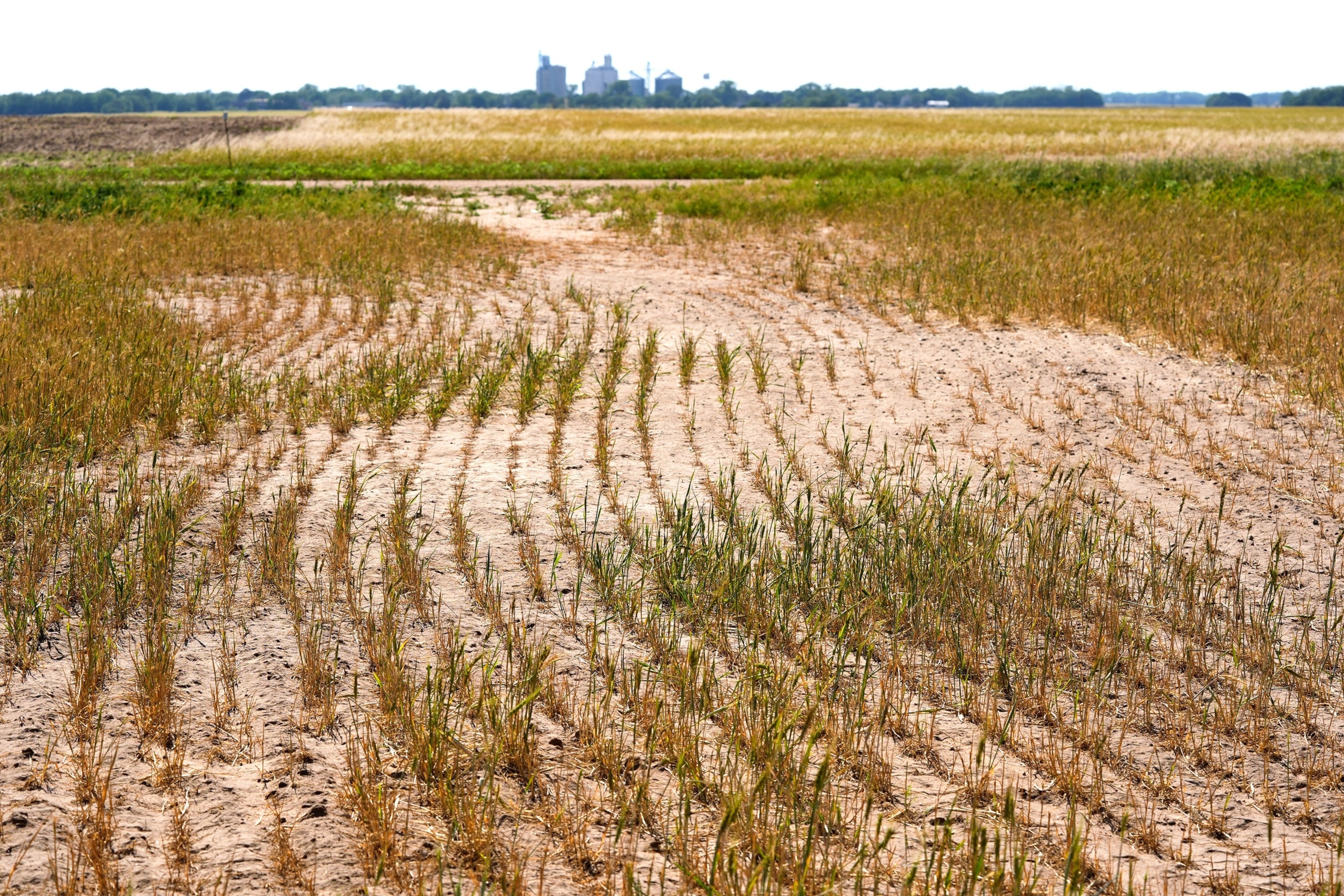 US agriculture industry at risk as drought conditions worsen