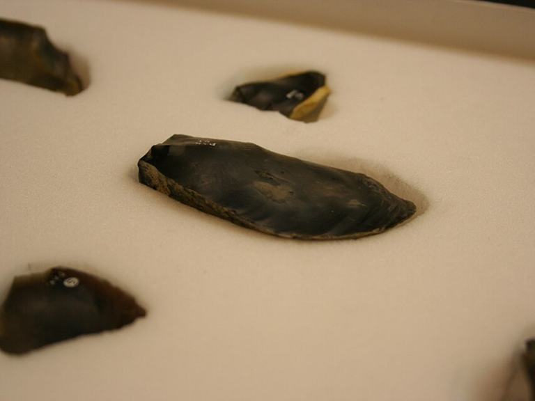 Scientists finally discovered who made these mysterious 45,000-year-old ...
