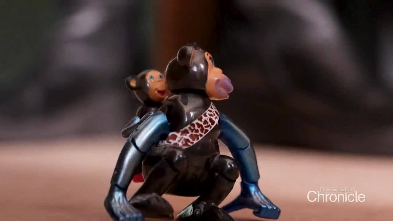 NH Chronicle: Spreading kindness one plastic monkey at a time
