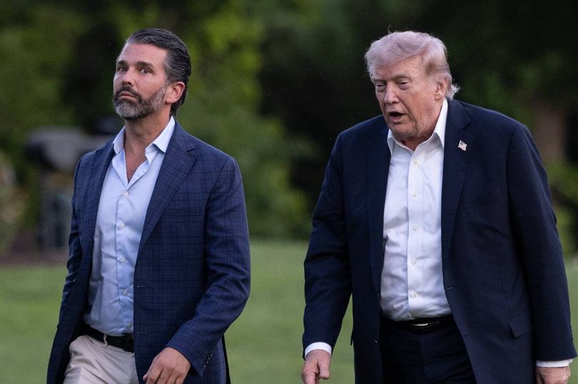 Knicks dispute sees Don Jr. hit with savage taunt over Donald Trump ...
