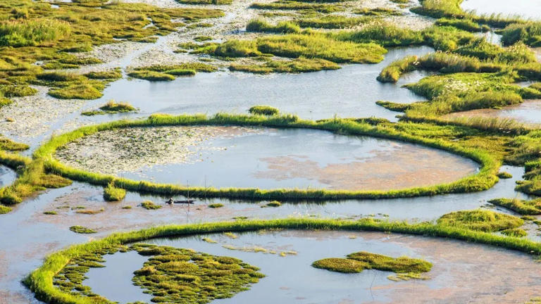 Manipur’s floating wonder: Inside India's mystical Loktak Lake