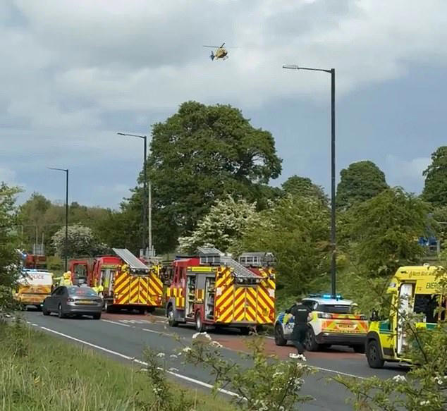 Girl, five, is killed in a half-term crash which left her twin brother ...