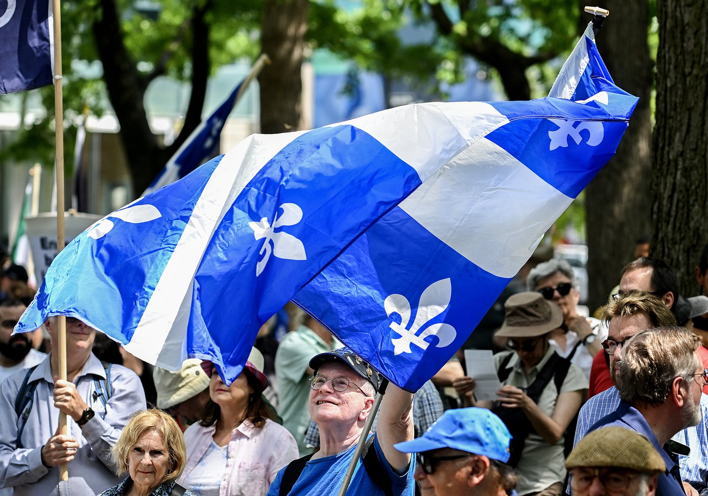 Too much English on Quebec government websites, says French-language ...