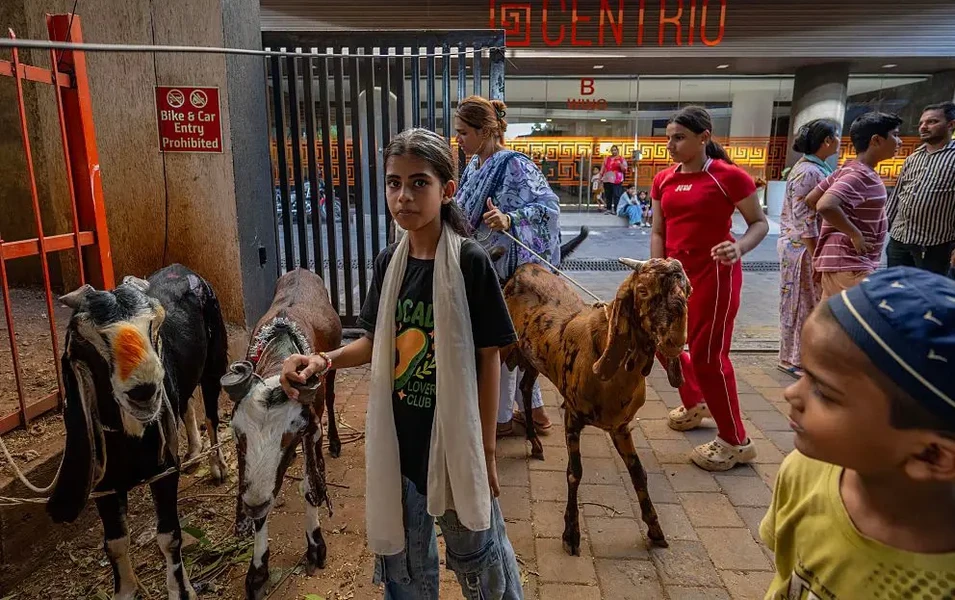 Bakrid goat sacrifice disputes spark BMC revocations, police action