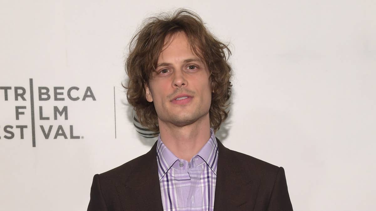 Matthew Gray Gubler stars as a genius professor in CBS's new series ...