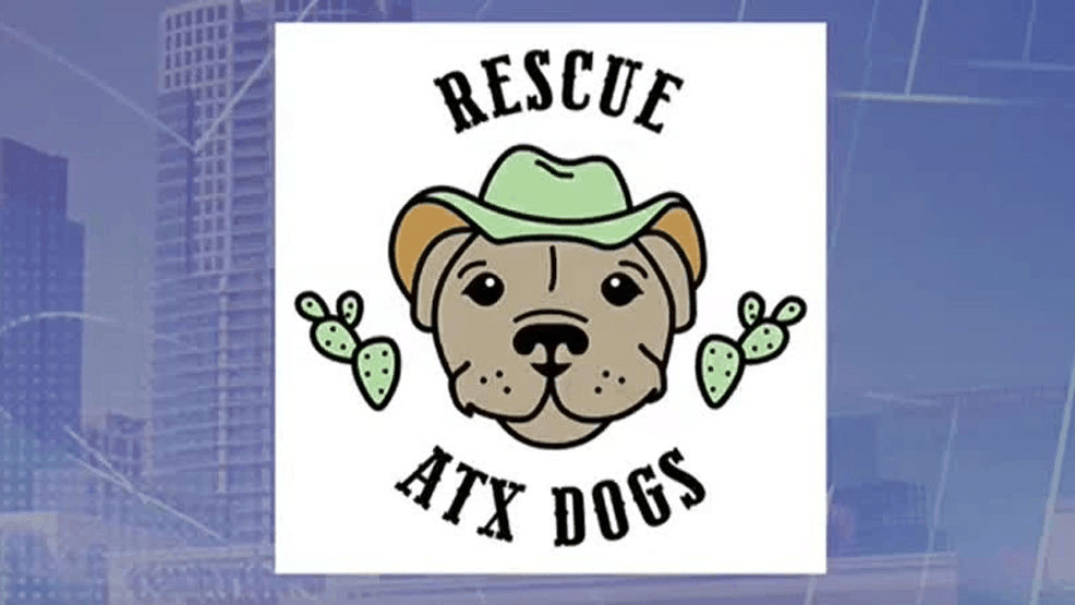 American Ventures CEO donates to rescue group after high-profile Austin ...