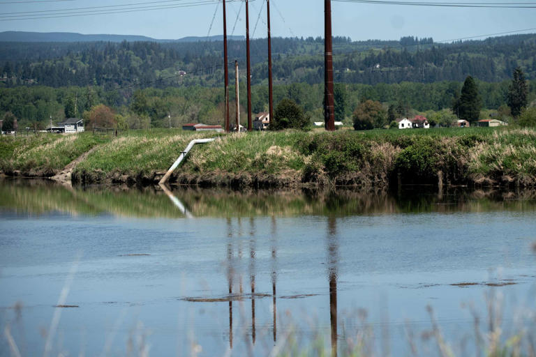 Crews race to flush contaminated Longview mill runoff toward Columbia ...