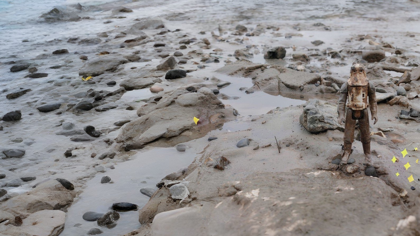A rare find on the Thames foreshore