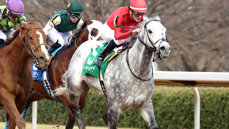 Roll on Big Joe favored in Aristides Stakes