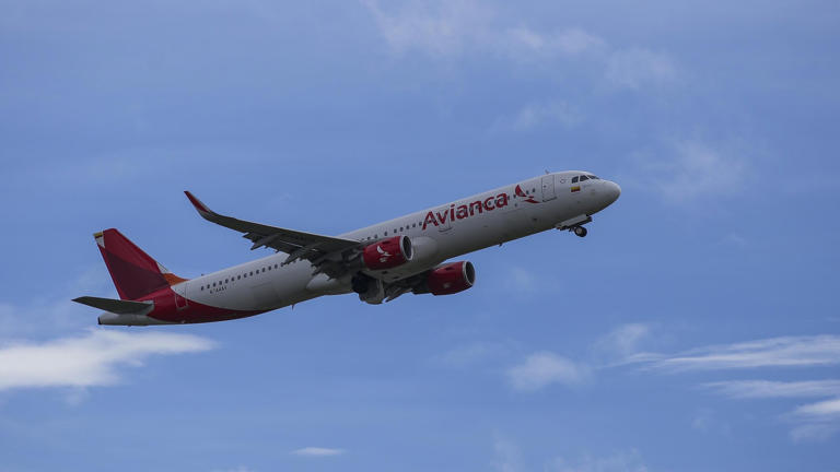 Avianca anunció nuevas rutas hacia Estados Unidos: fecha en la que ...