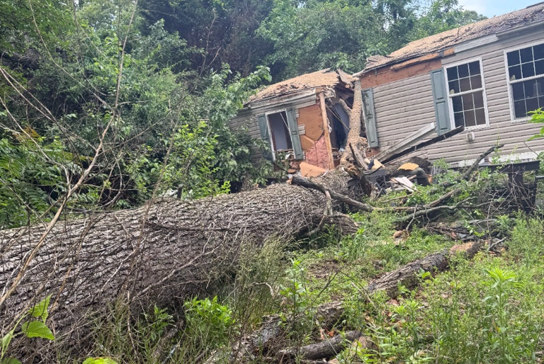 Tree falls through roof of home in Anne Arundel County