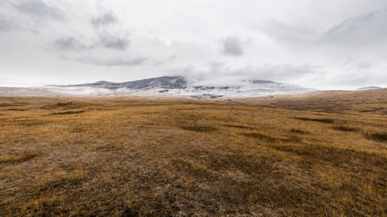 Federal move could remove hundreds of Montana bison from public land ...