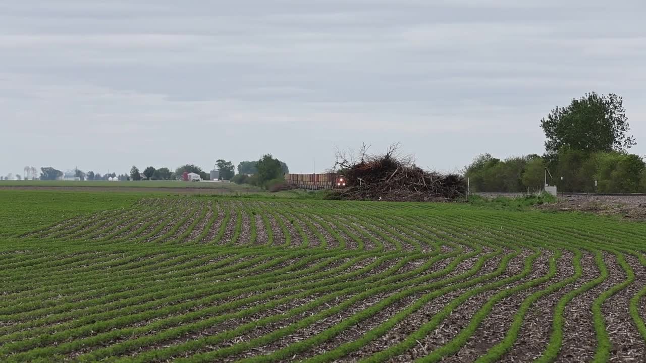 BNSF intermodal freight train passing rural cornfields in Rutland, Illinois