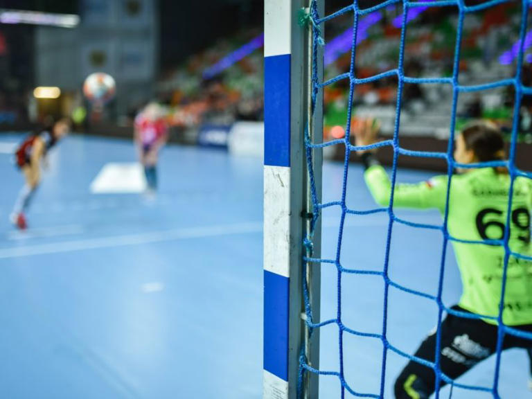 HSG RSV Teltow/Ruhlsdorf II - Schönwalder SV 53 (Handball): HSG RSV ...