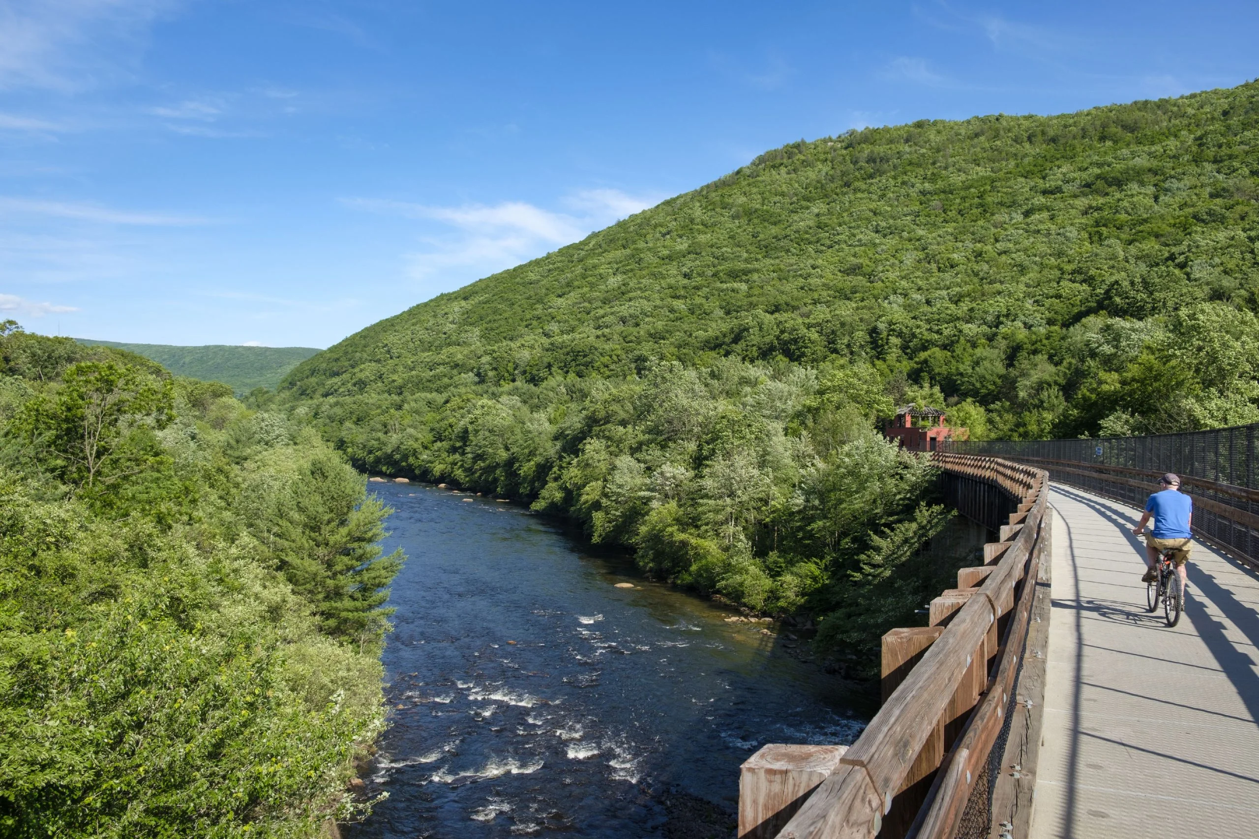 Young boy killed in freak accident while whitewater rafting on field ...