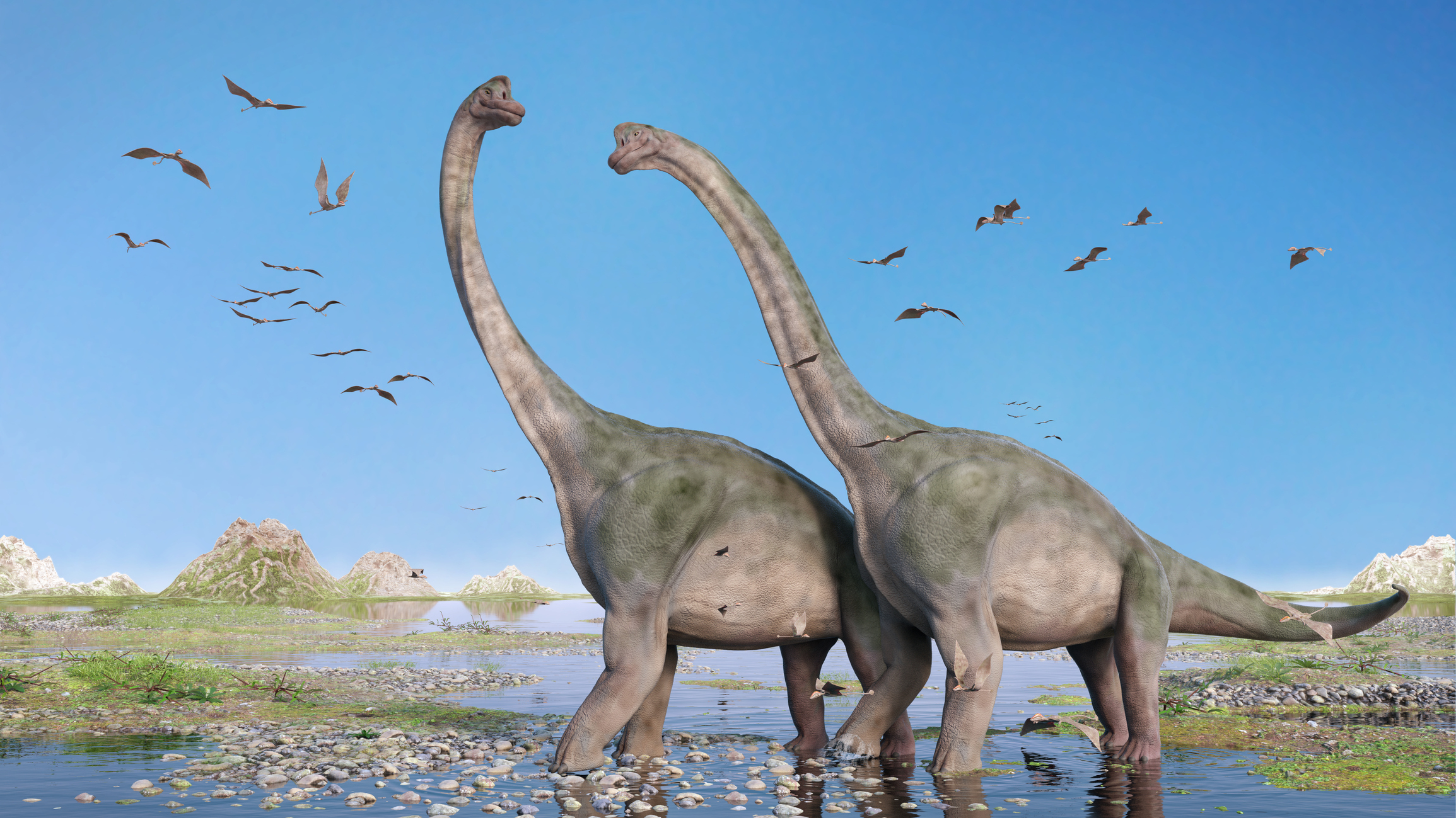 What was the biggest dinosaur? Fragmentary fossils make it hard to tell