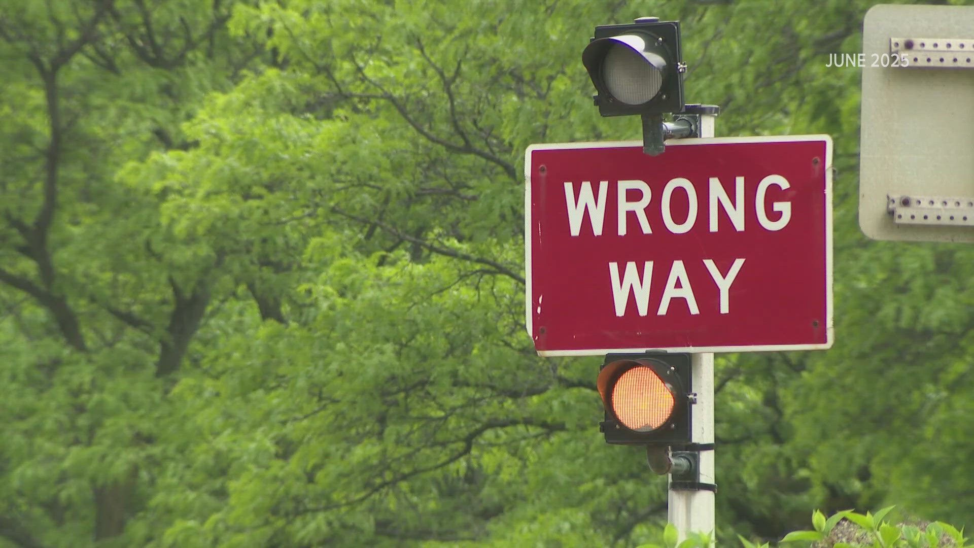 Driver who went wrong way on Skyway gets prison in fatal crash case